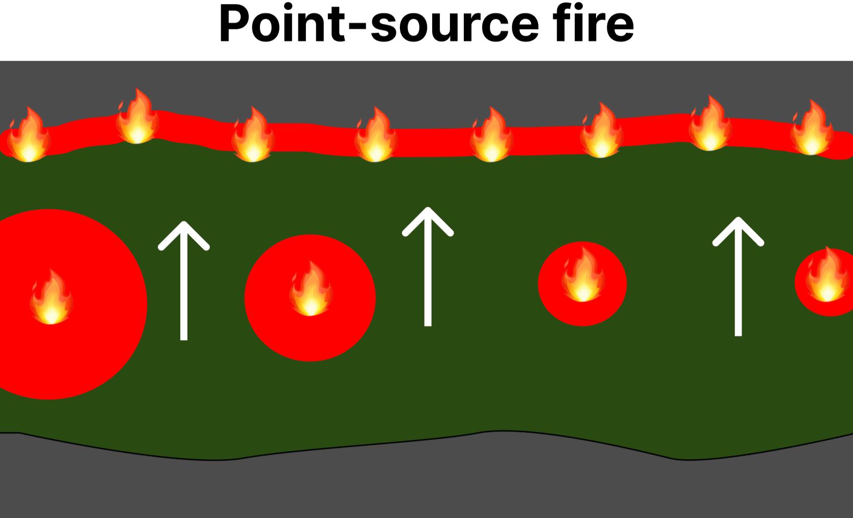 How do controlled burns work? — Today You Should Know