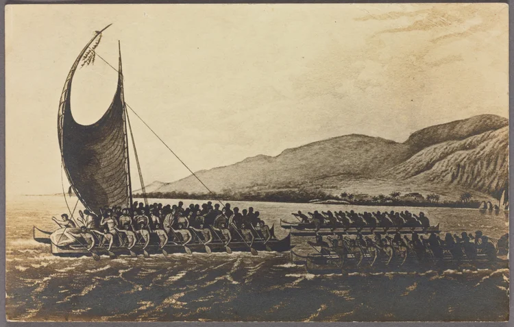 How did early Polynesian explorers find islands? — Today You Should Know