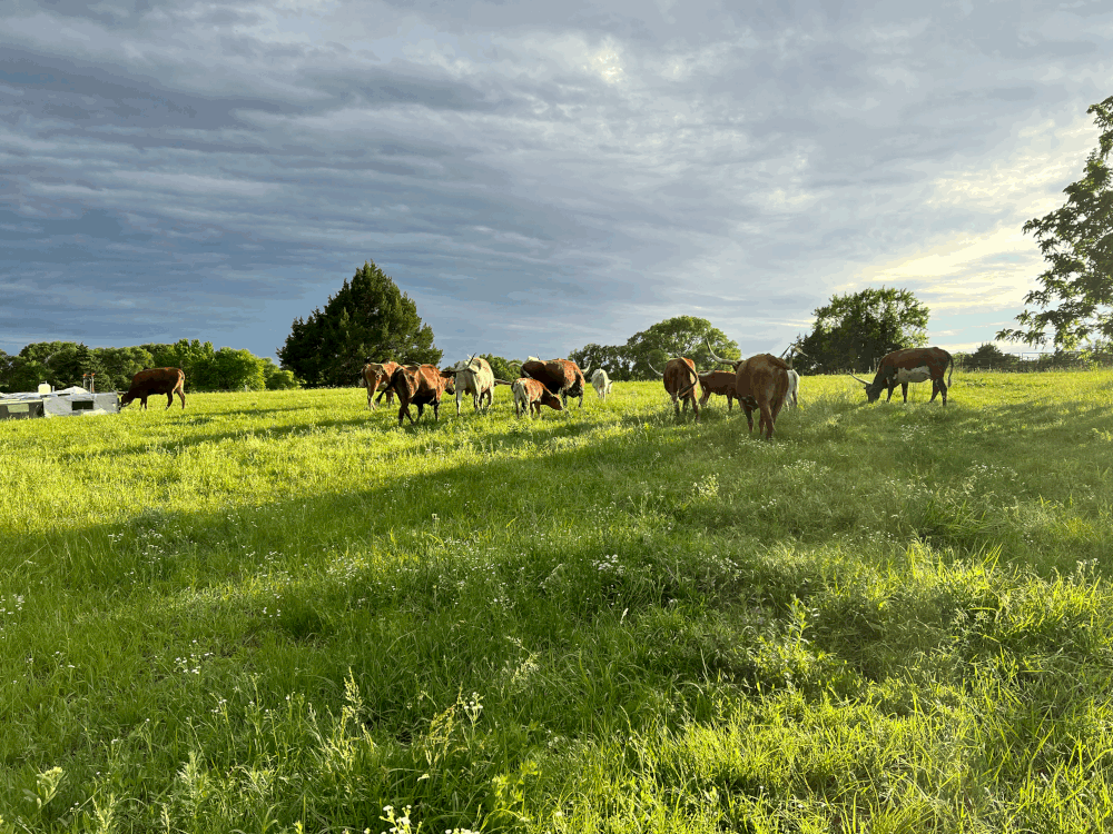 Griffith Family Farm