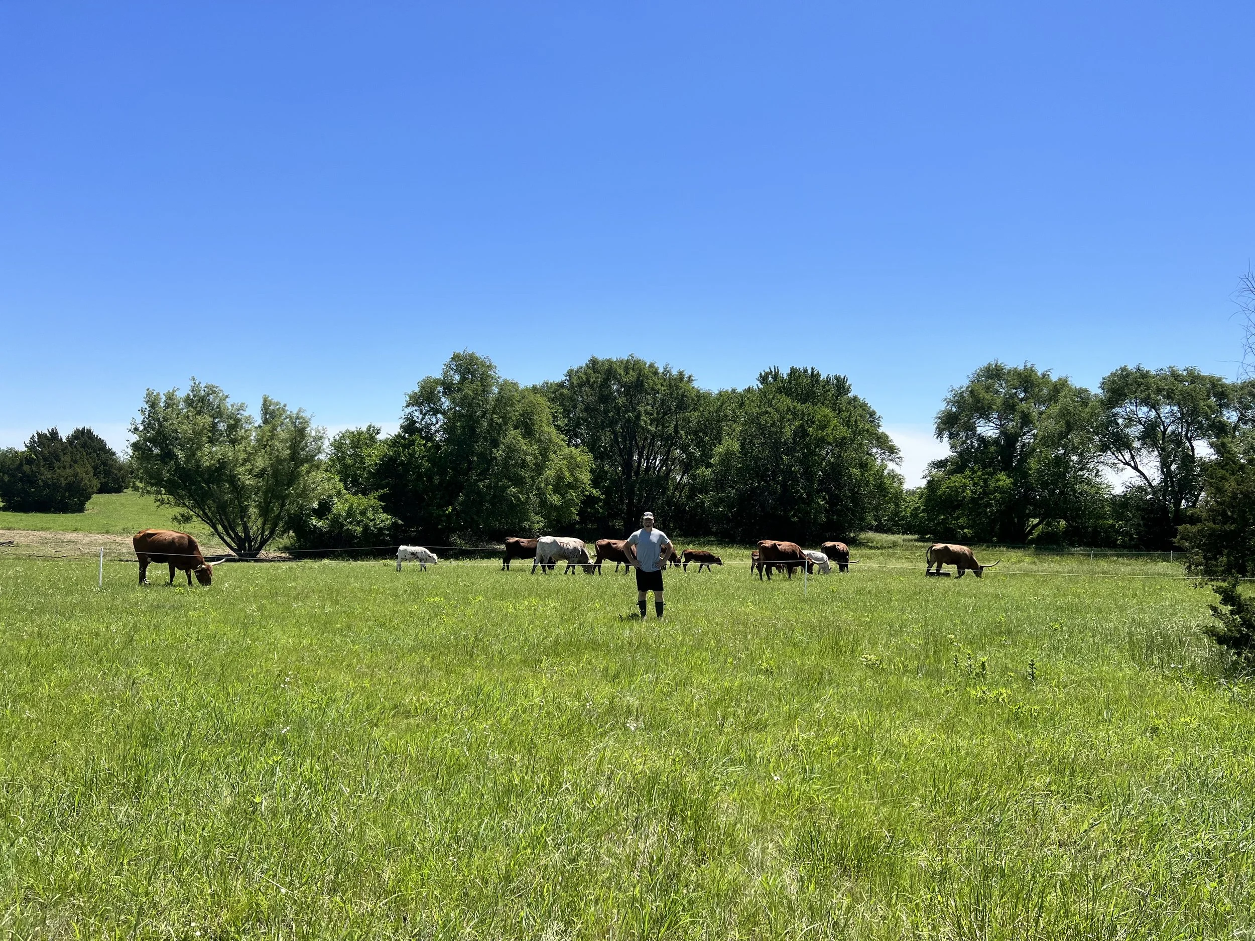 About 1 — Griffith Family Farm