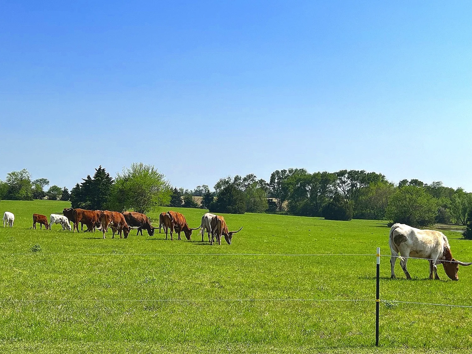 Griffith Family Farm