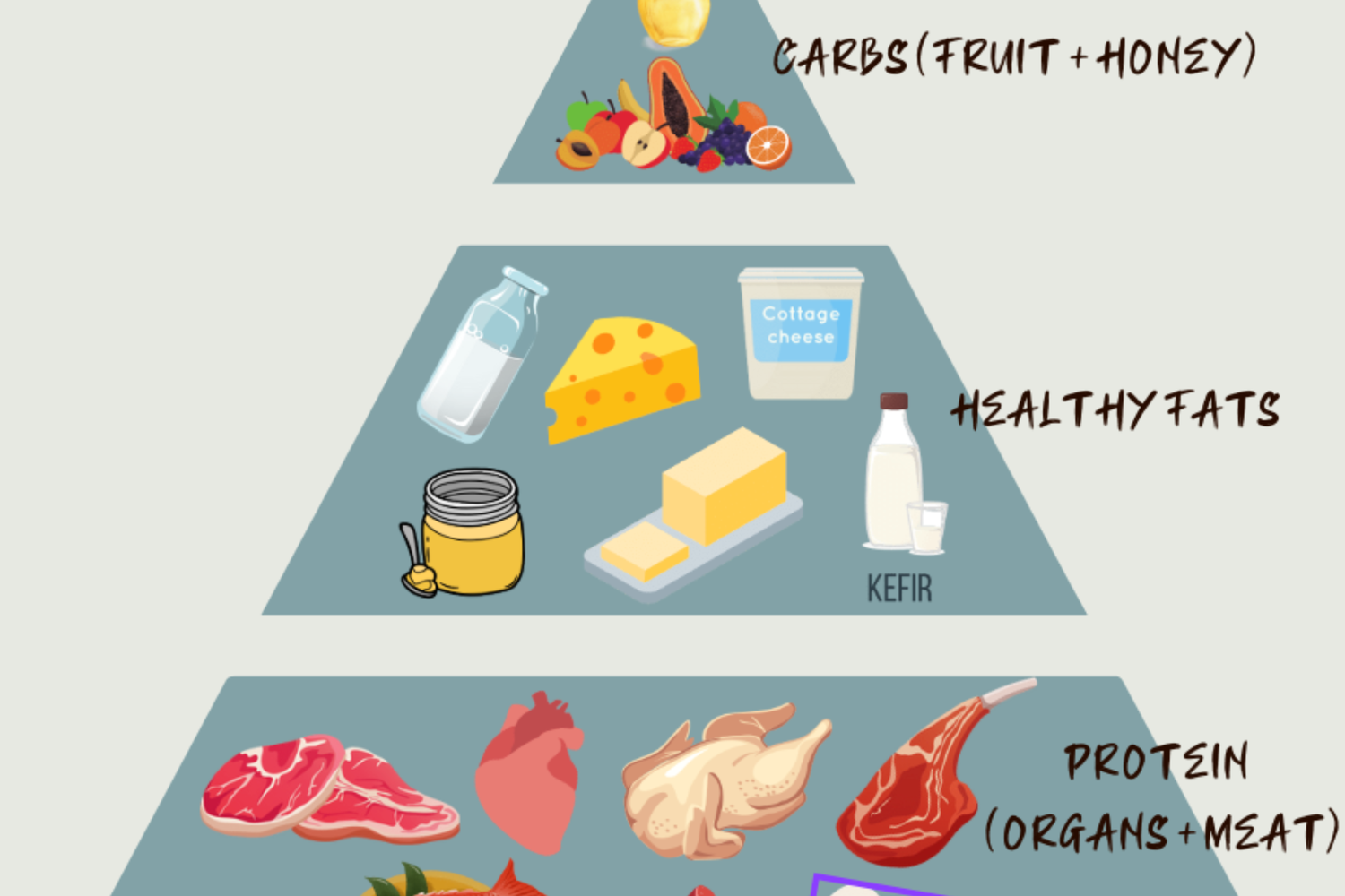 What to Eat on a Nose-to-Tail Animal-Based Diet (Full Guide)