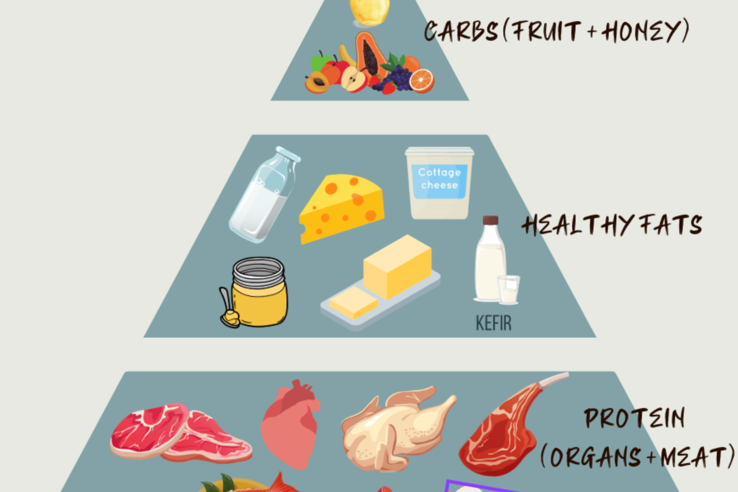 What to Eat on a Nose-to-Tail Animal-Based Diet (Full Guide)