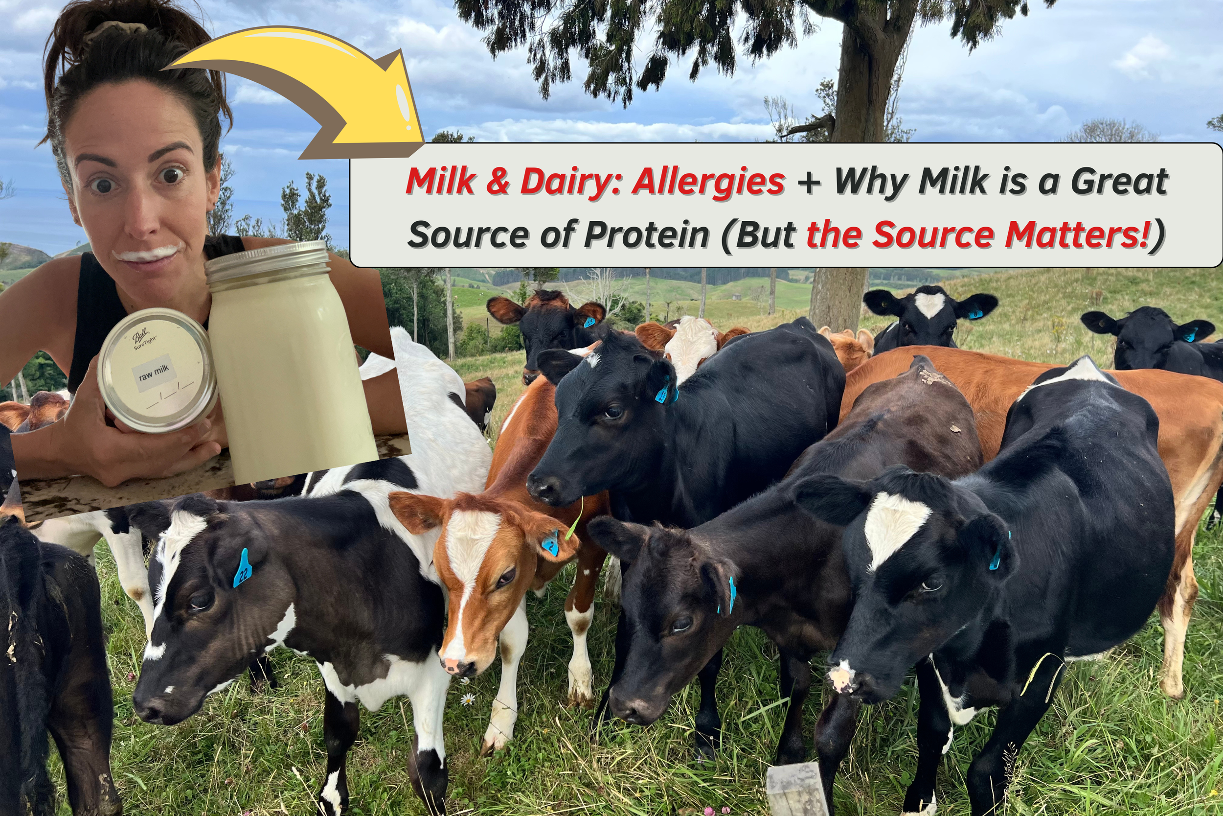Milk & Dairy: Why Quality Matters + Best Animal-Based Options