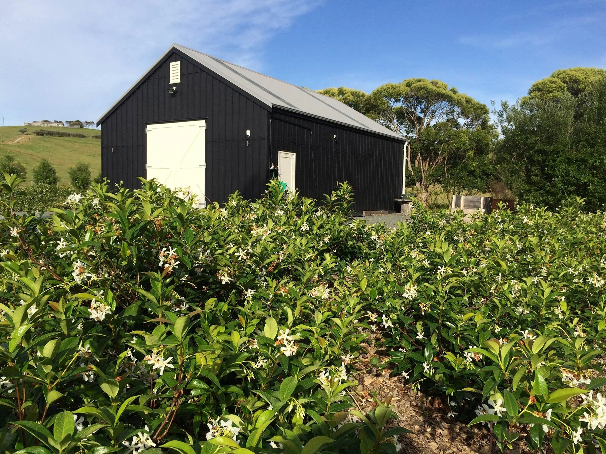 Matakana Botanicals — Customkit Buildings