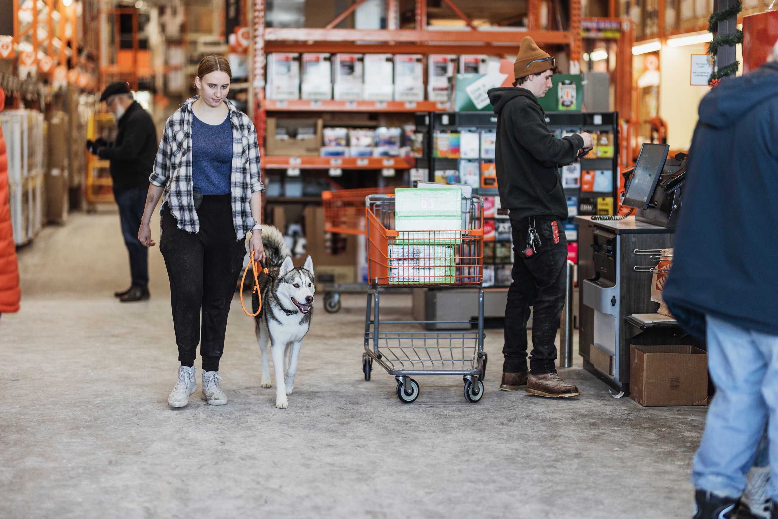 Training Programs — Trifecta Dog Training