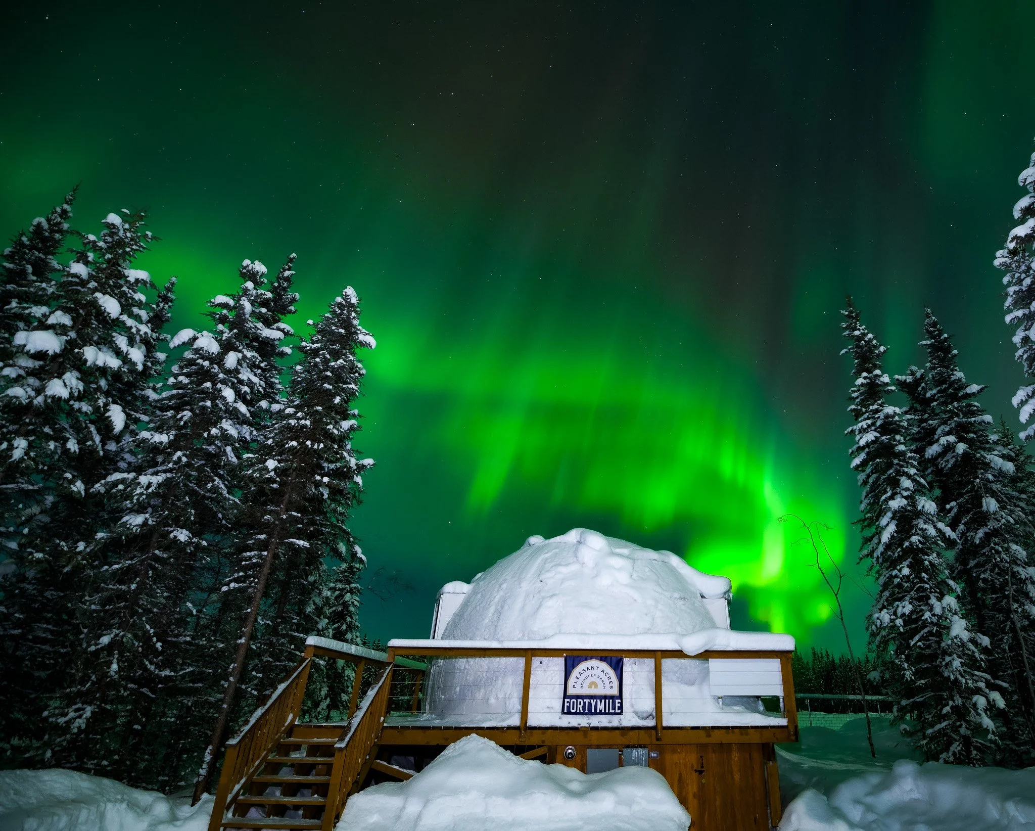 Lodging - Alaska Igloos — Pleasant Acres Reindeer Ranch