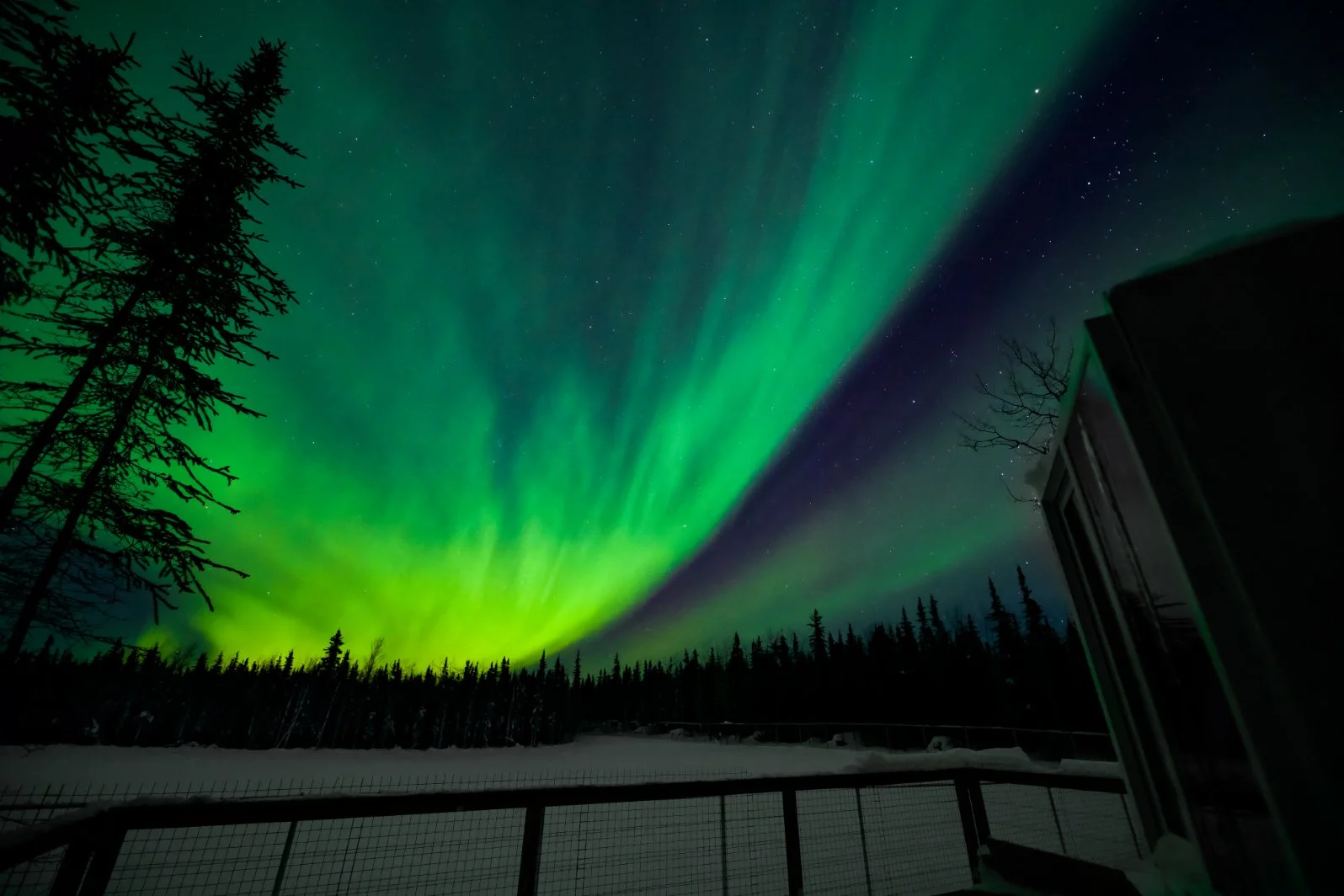 Lodging - Alaska Igloos — Pleasant Acres Reindeer Ranch