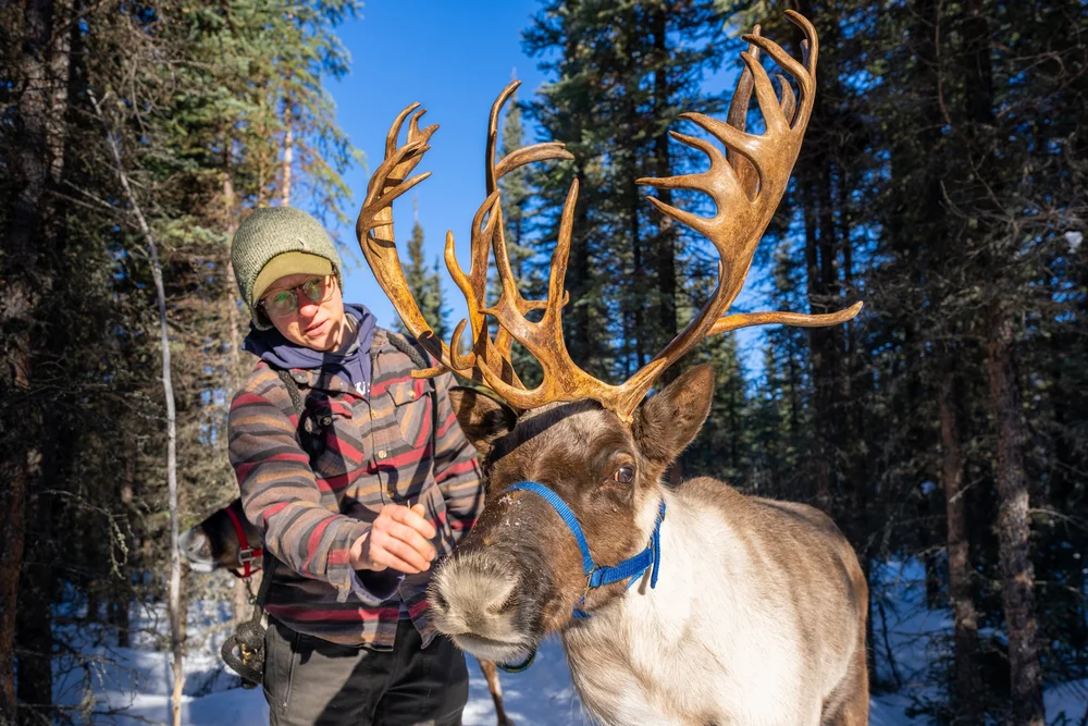Activities — Pleasant Acres Reindeer Ranch — Pleasant Acres Reindeer Ranch