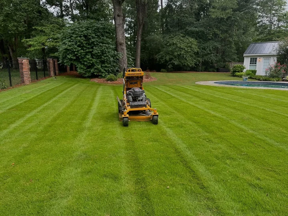 LandGreen Landscaping: Home | Highly Reviewed Professional Landscapers ...