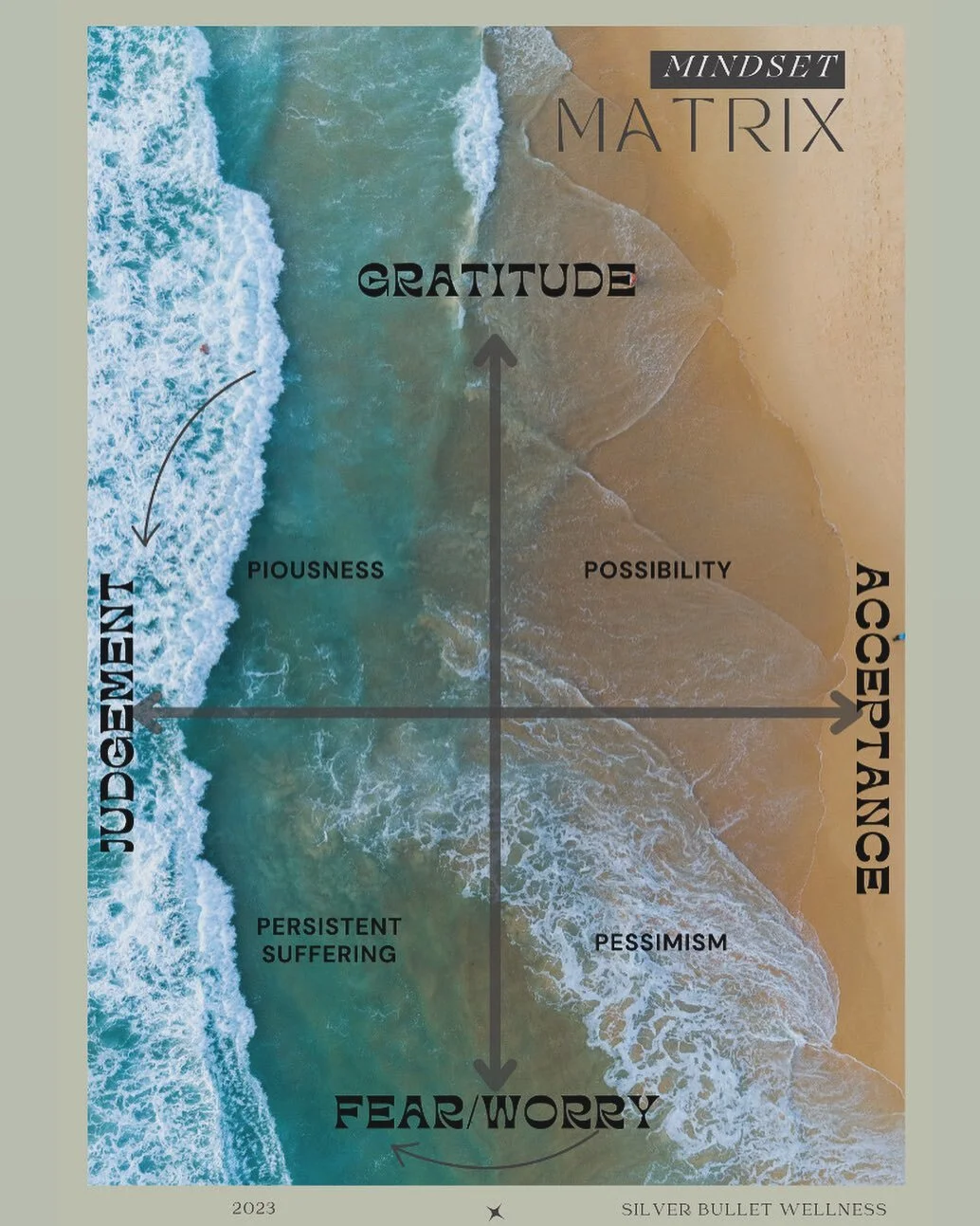 Silver Bullet Wellness