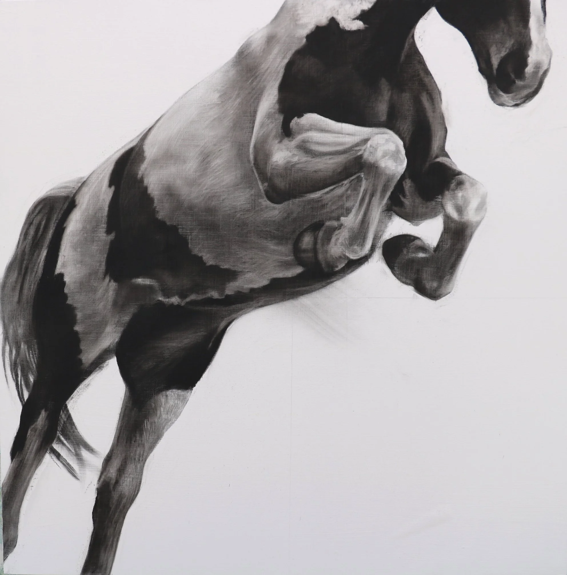 Gallery — PATSY MCARTHUR