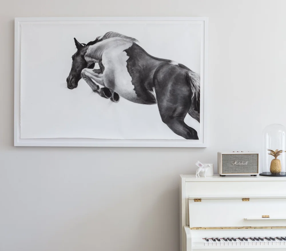 HORSES — PATSY MCARTHUR