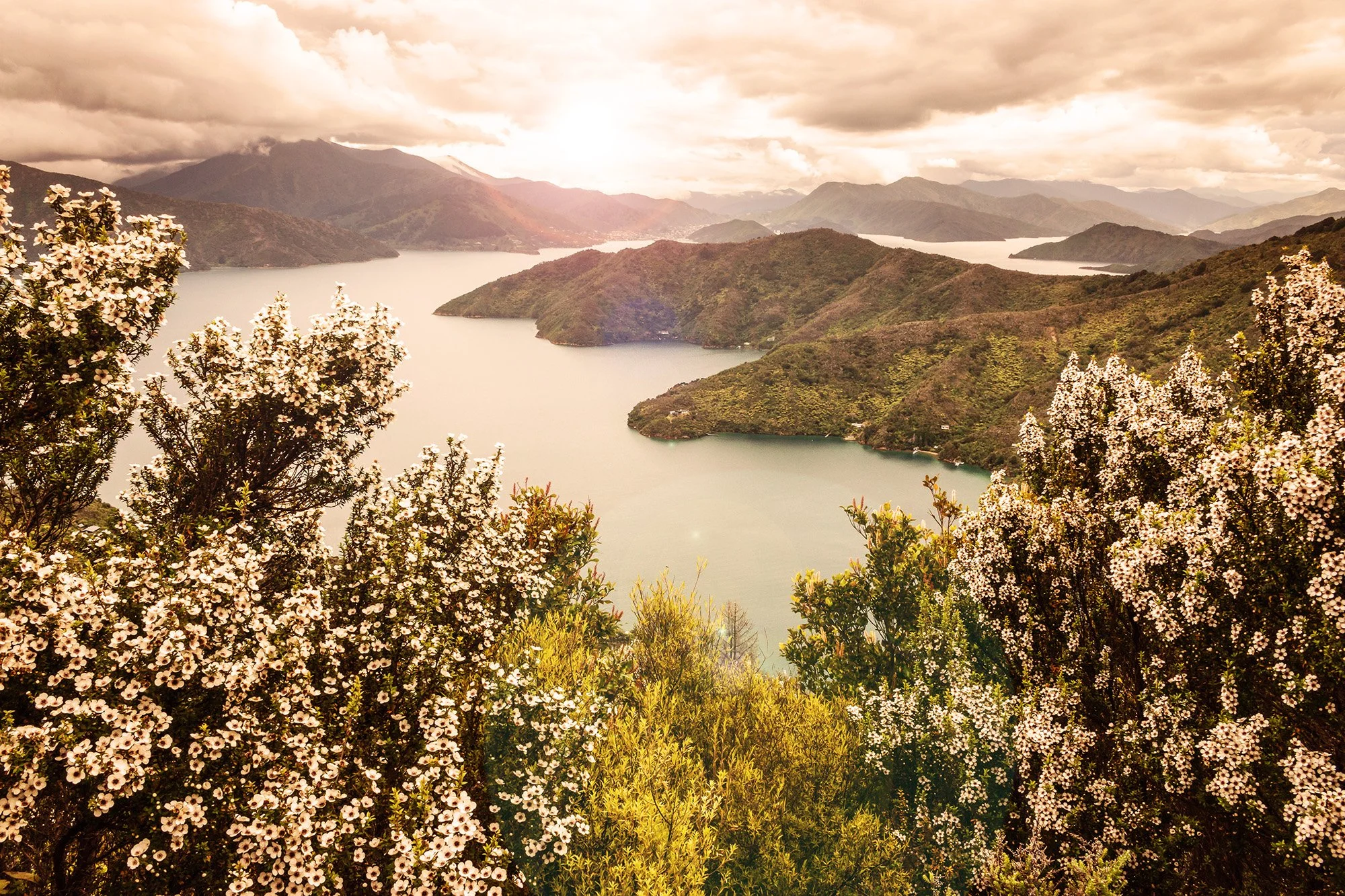 Our whenua (land) — Watson & Son