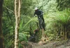 Mountain Bike Tasmania | Explore Blue Derby with Bark Off Biking