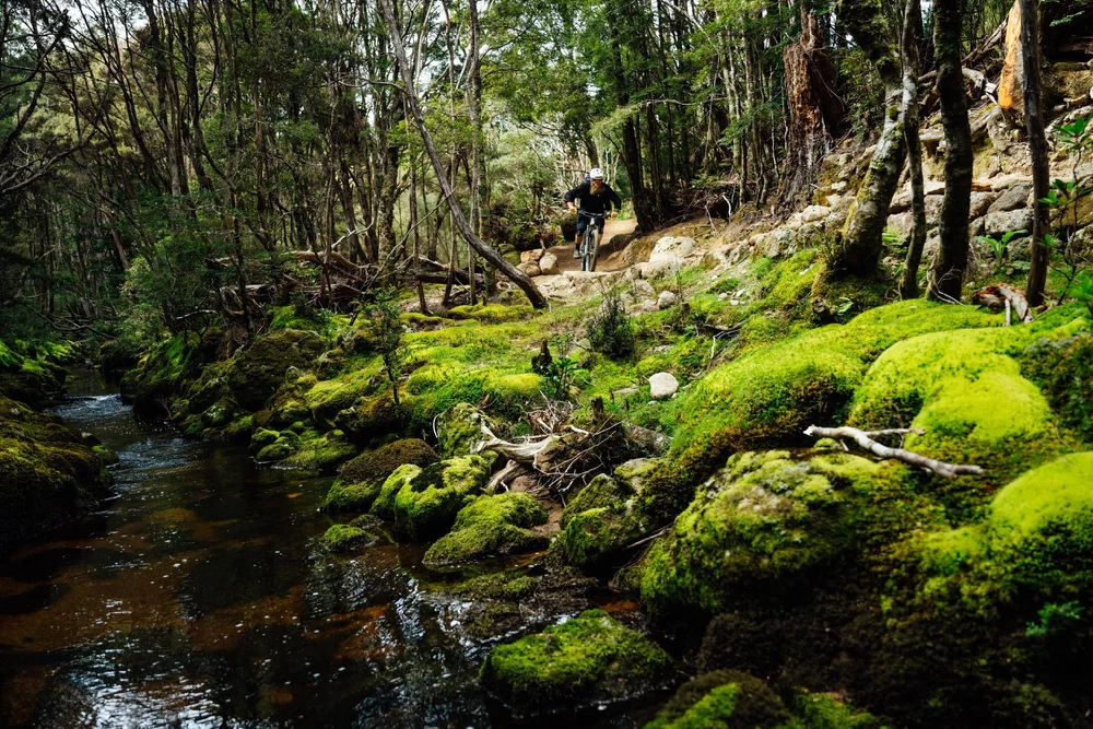 Blue Derby + st Helen’s Shuttles | Premium MTB Shuttle Service — Bark ...