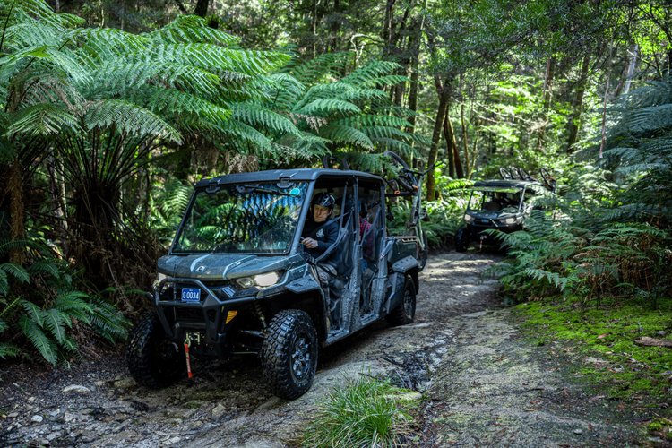 Mountain Bike Tasmania | Explore Blue Derby with Bark Off Biking