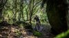 Blue Derby + st Helen’s Shuttles | Premium MTB Shuttle Service — Bark ...