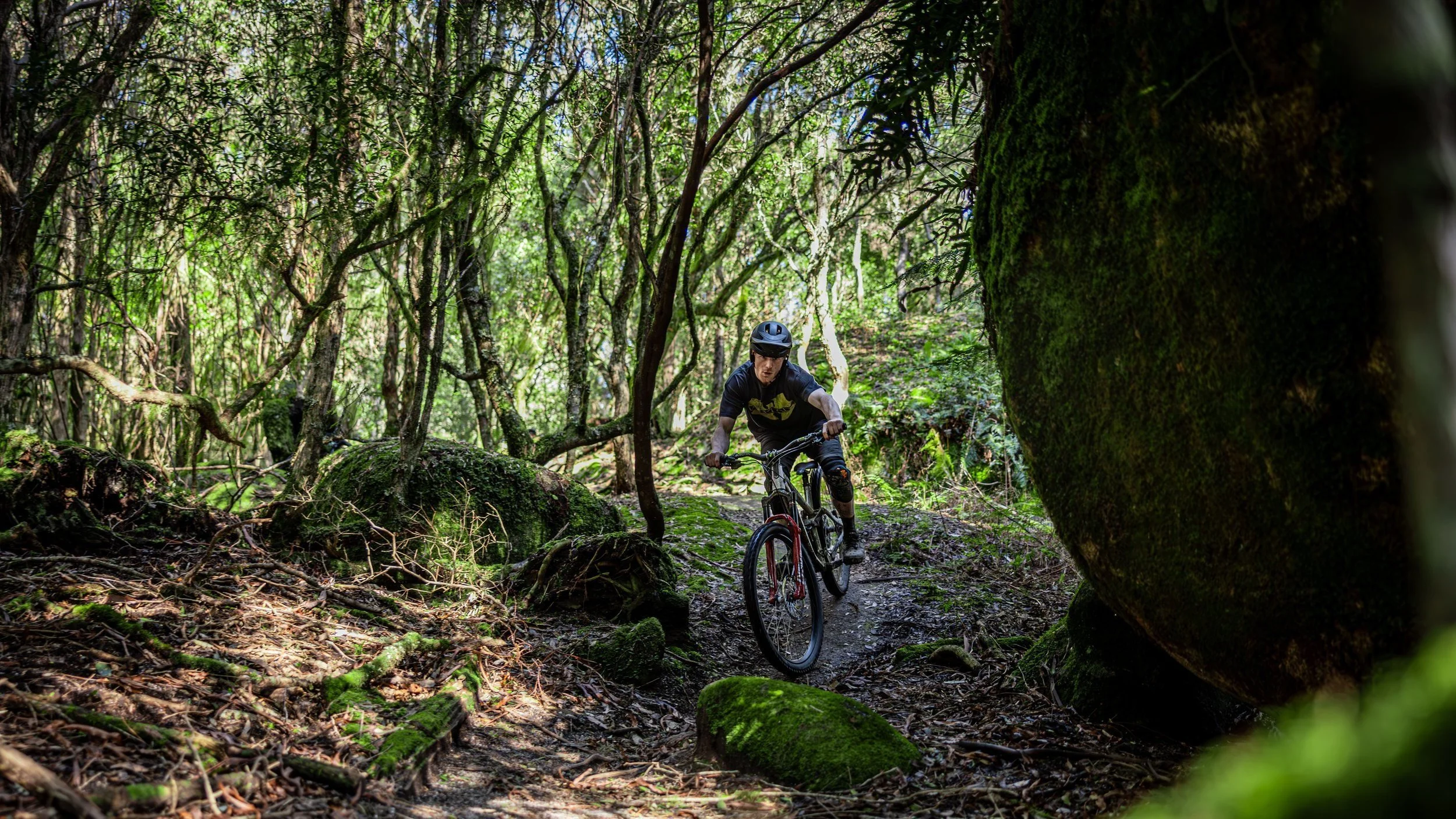 Blue Derby + st Helen’s Shuttles | Premium MTB Shuttle Service — Bark ...
