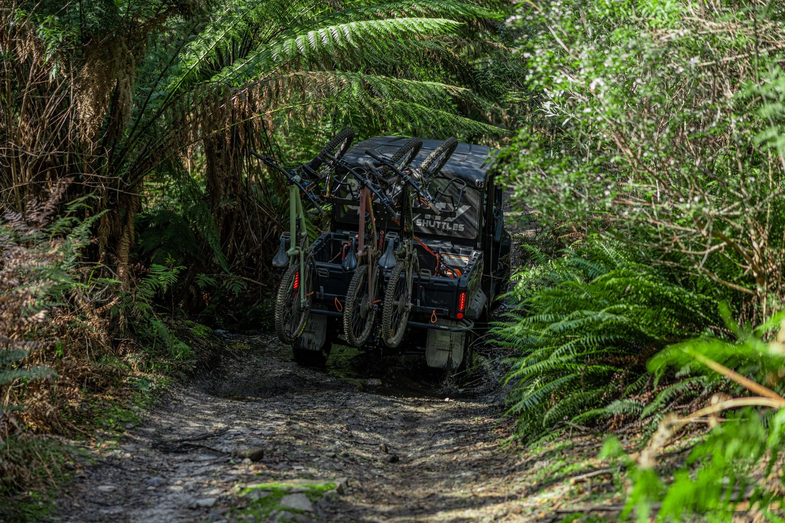 Blue Derby + st Helen’s Shuttles | Premium MTB Shuttle Service — Bark ...