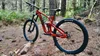 Derby + st Helen’s Bike Hire | Mountain Bike Rentals for Blue Derby ...