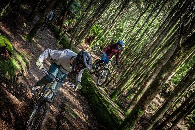 Blue Derby + st Helen’s Shuttles | Premium MTB Shuttle Service — Bark ...