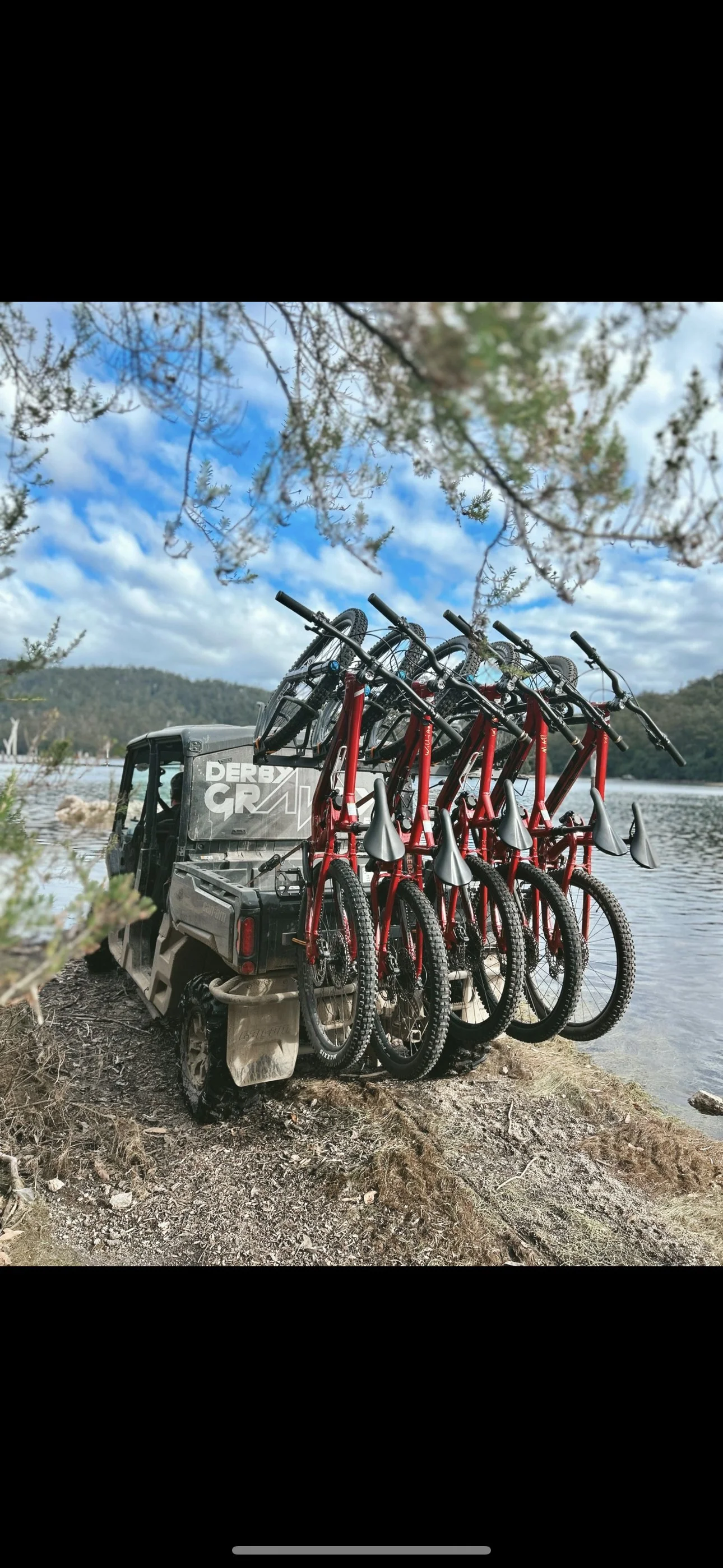 Bark Off Biking