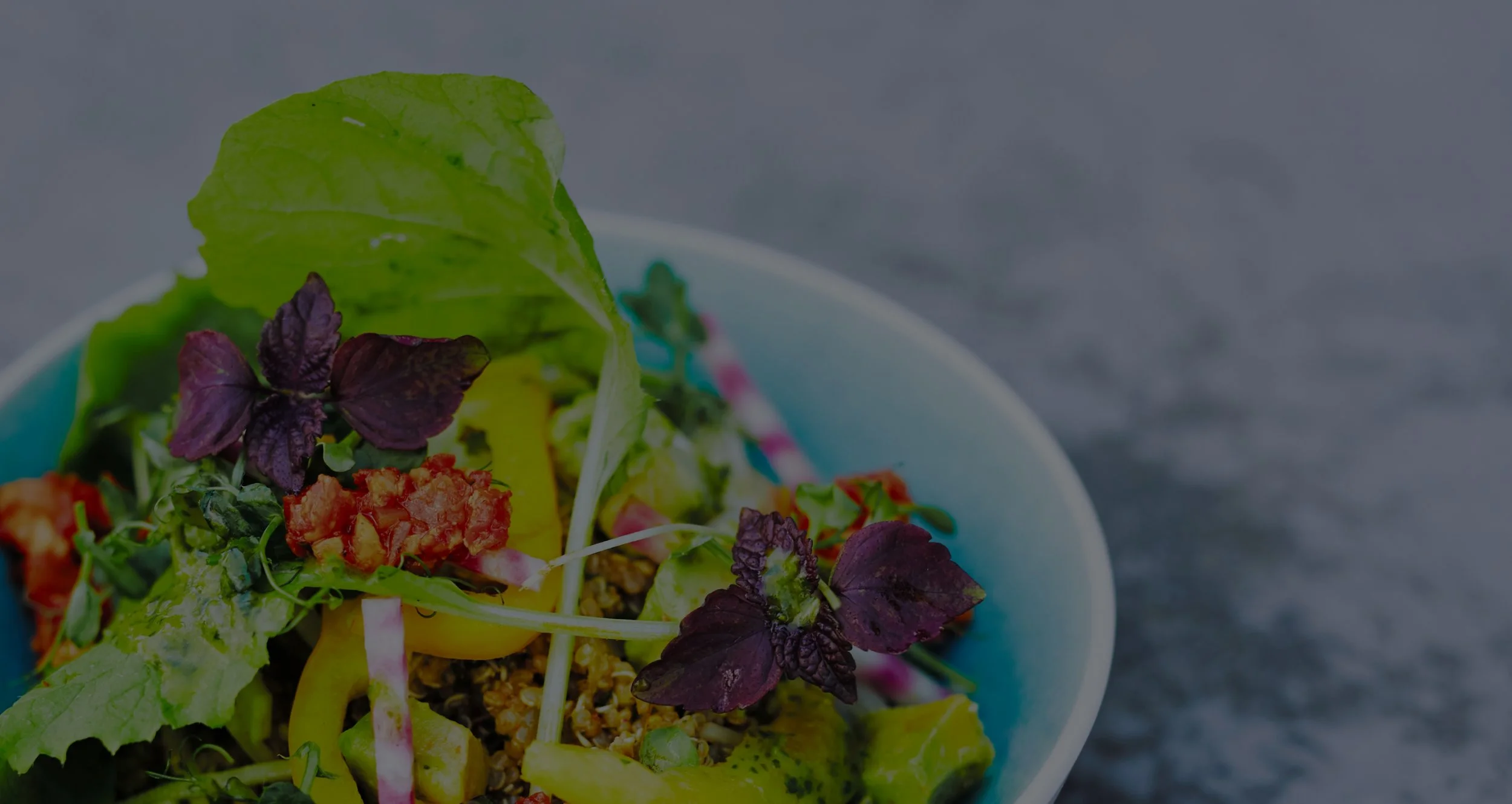 PLANT FWD | Building a Plant Forward future together.