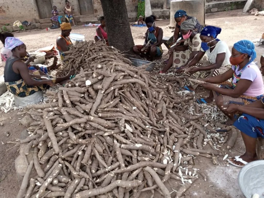 BENIN — Batonga Foundation