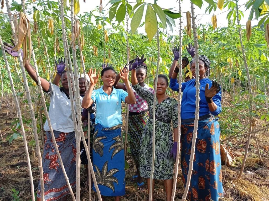 Why Batonga — Batonga Foundation