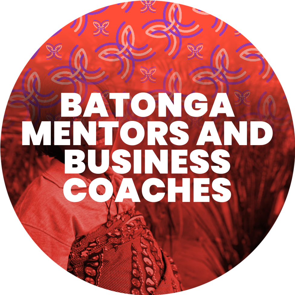 Batonga Foundation