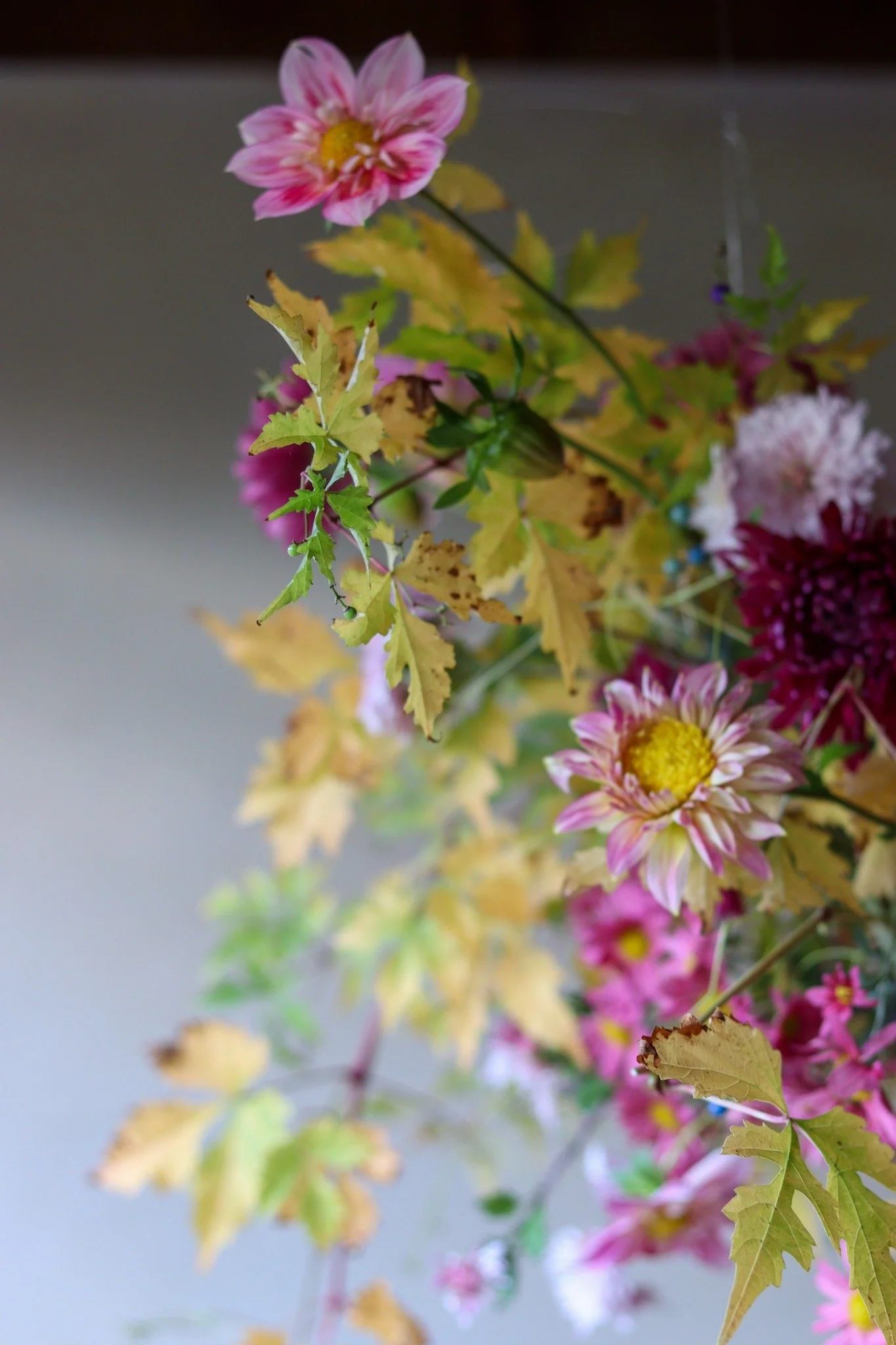 The Business of Floristry — The School of Sustainable Floristry