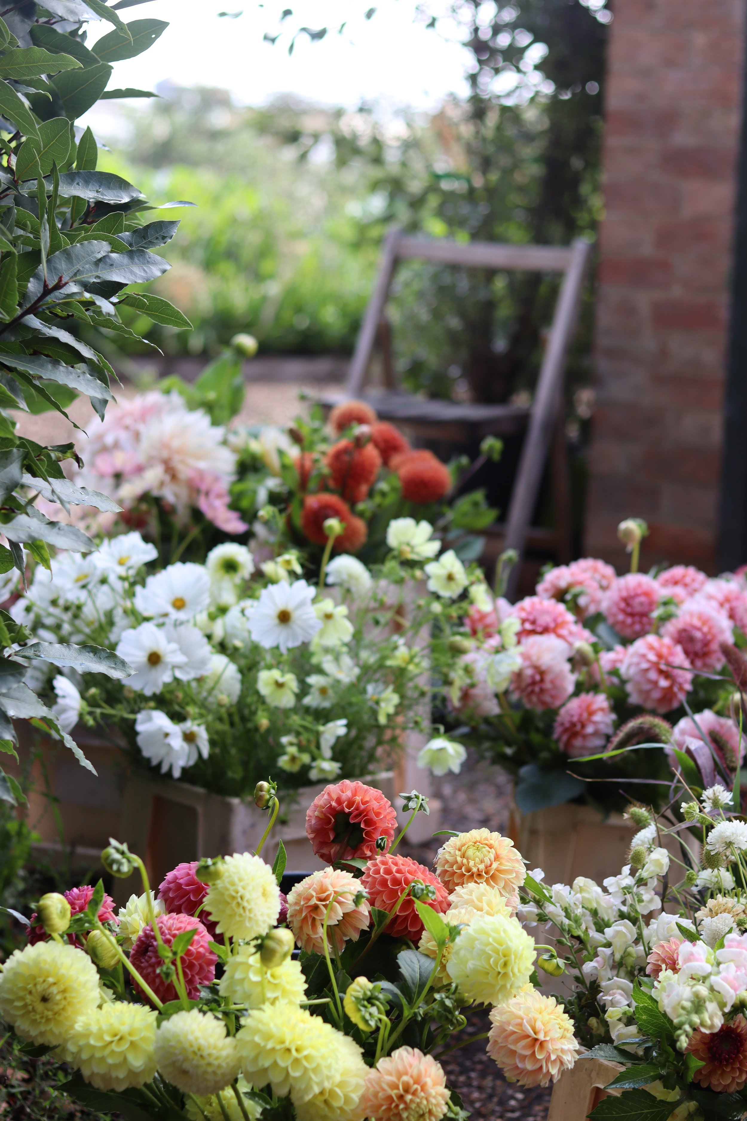 Half & Full Day Sustainable Floristry Workshops — The School of ...