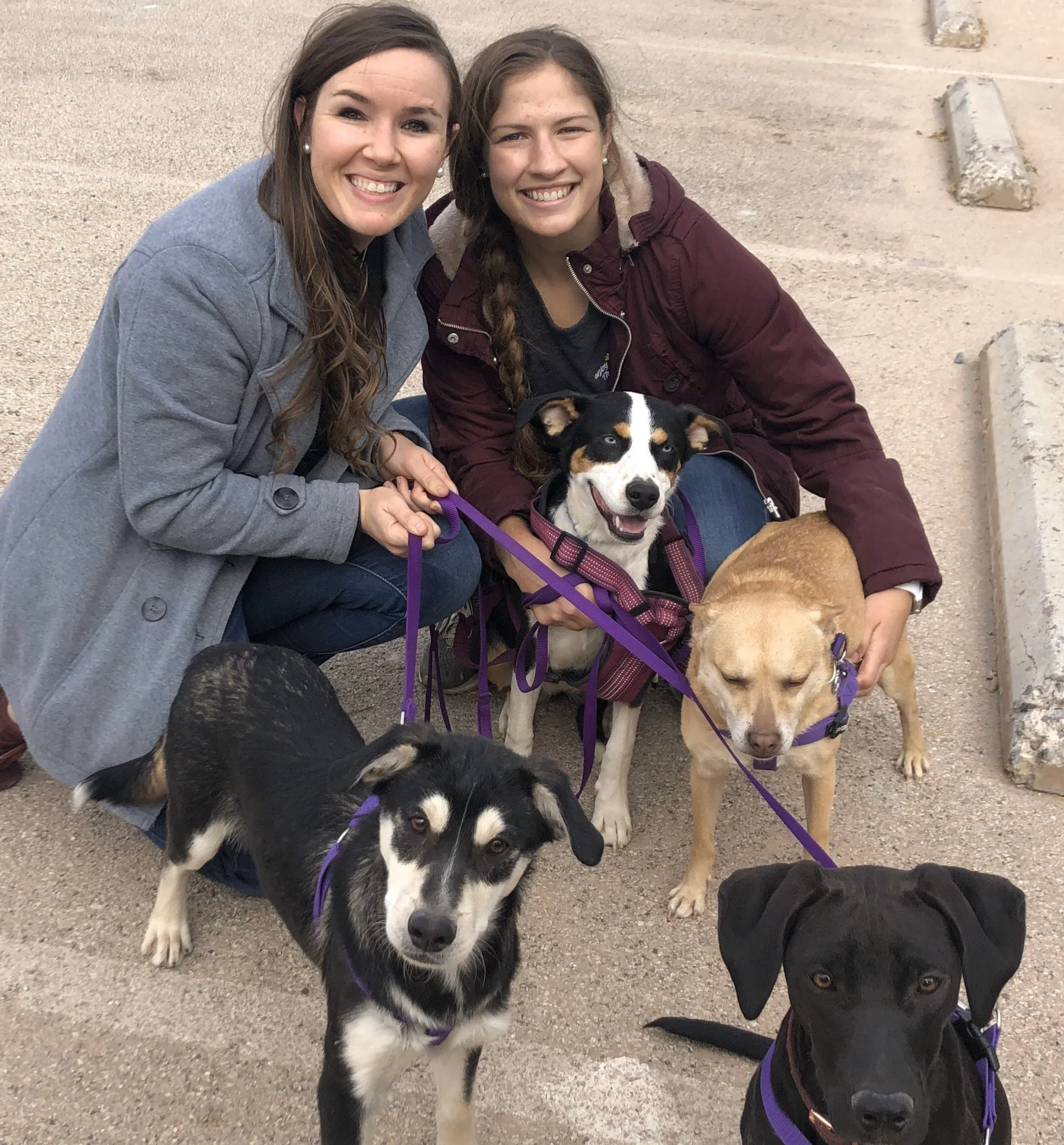 Hike with a Homeless Pet — MIDLAND AF