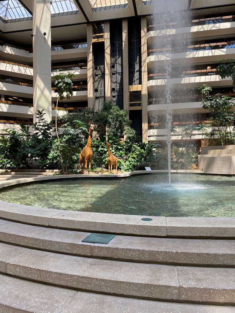 60+ Things To Do in Midland, TX this Fall — MIDLAND AF