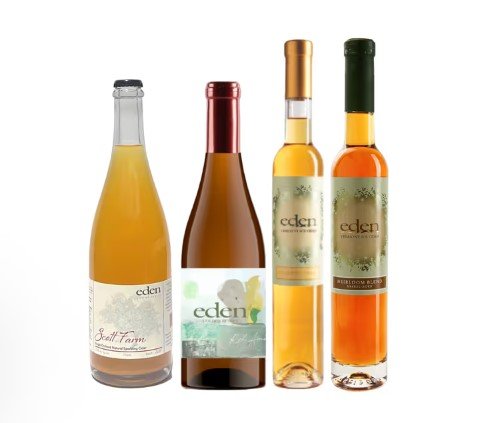 Vendors — Illuminate Vermont