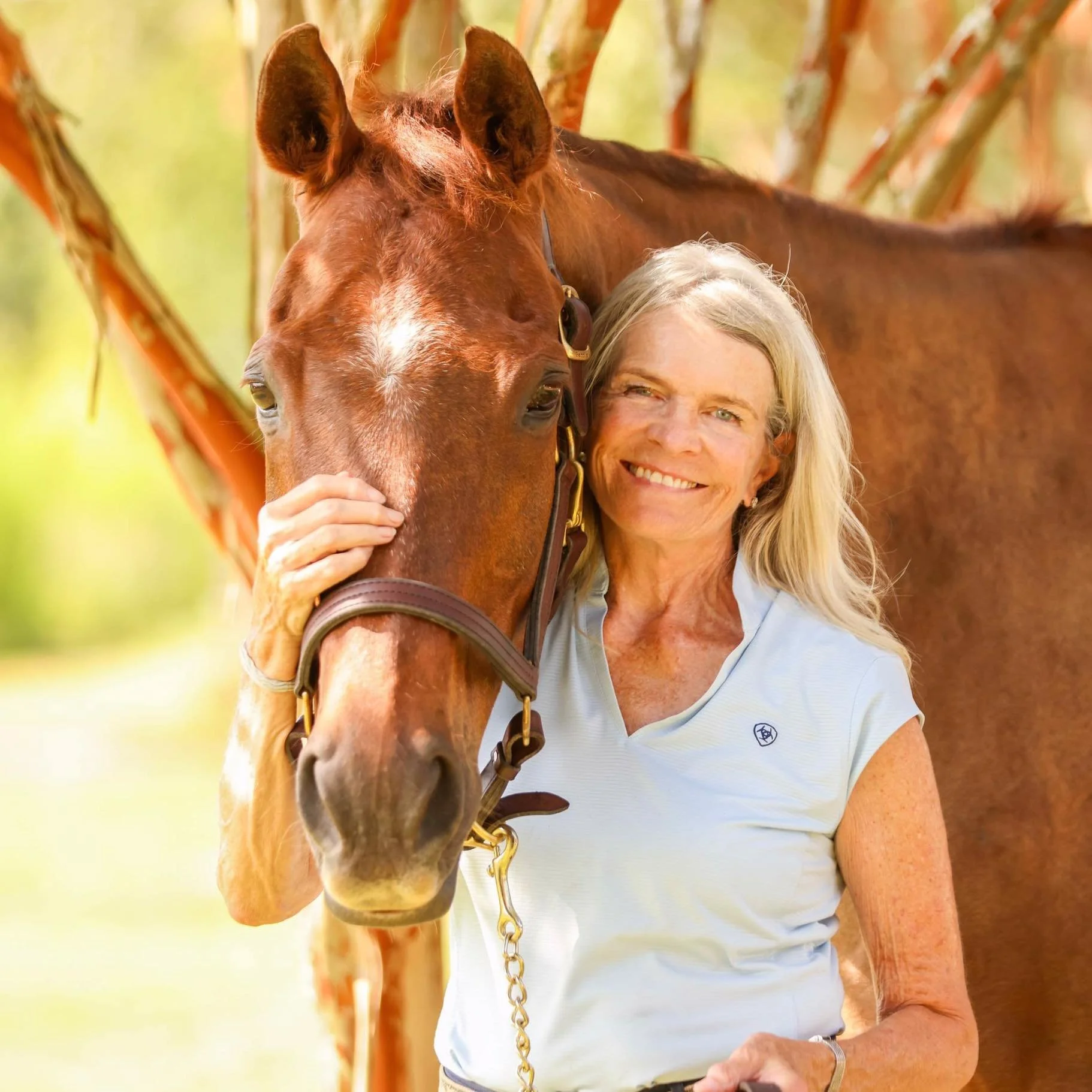 Board of Directors — New Directions of Horry County