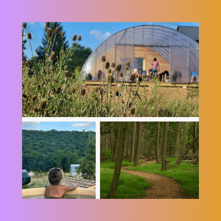 Events — Boyd Cru Wines