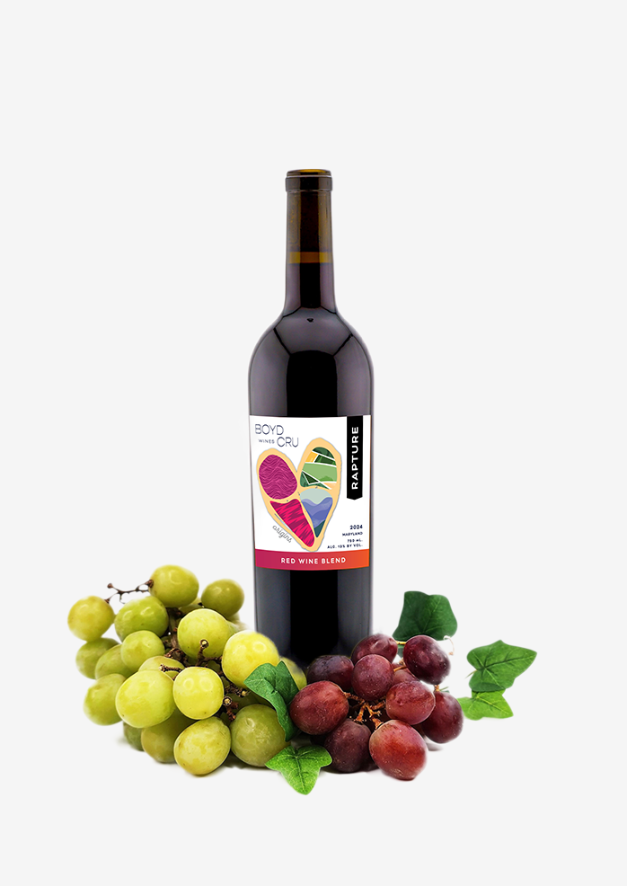 Rapture Red Blend — Boyd Cru Wines