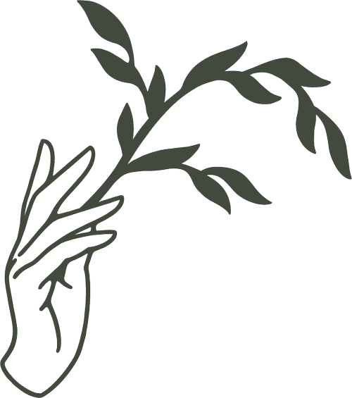 SAGE Baja | Cuisine + Culture of Baja California Sur led by Chef ...