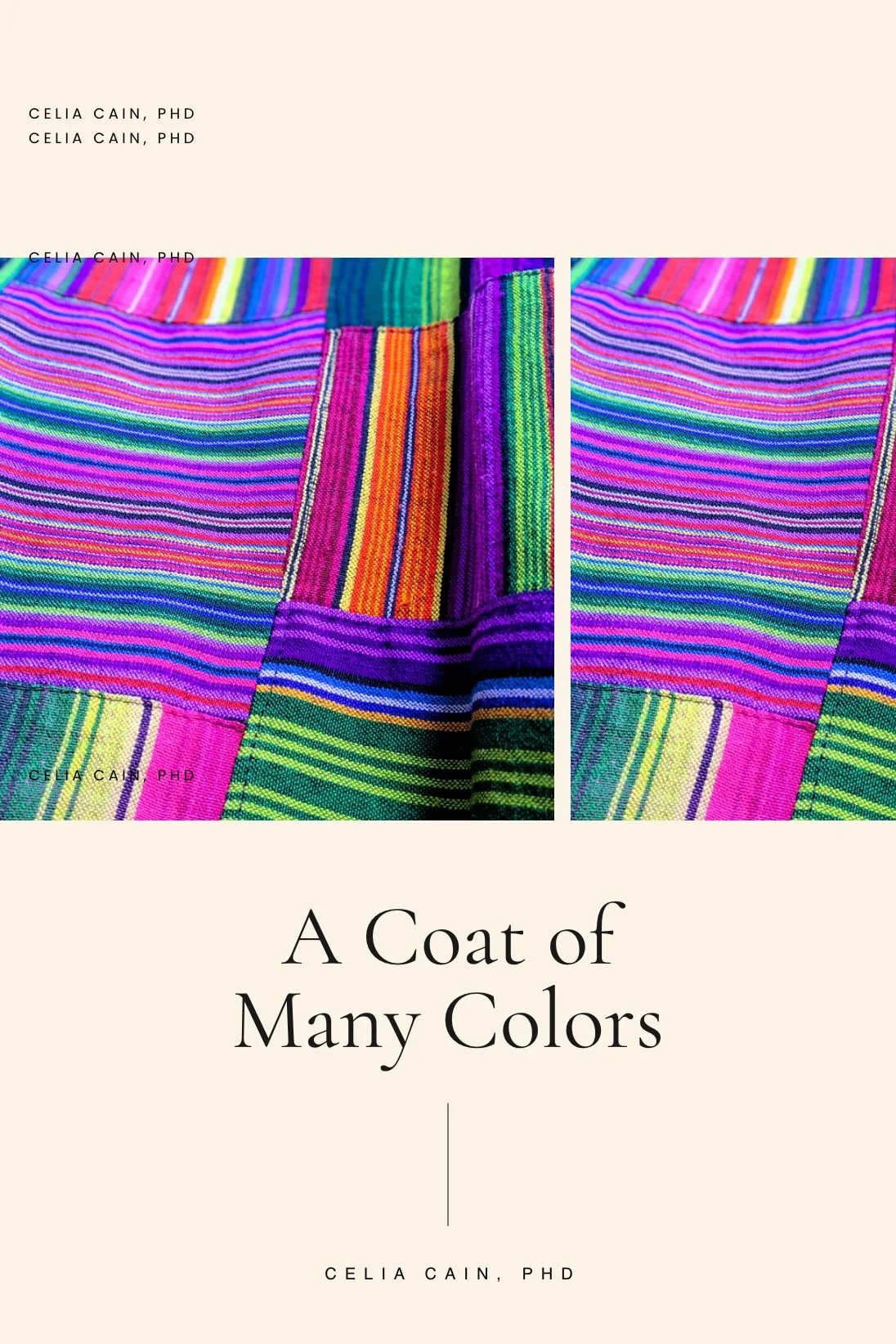 A Coat of Many Colors — Celia Cain