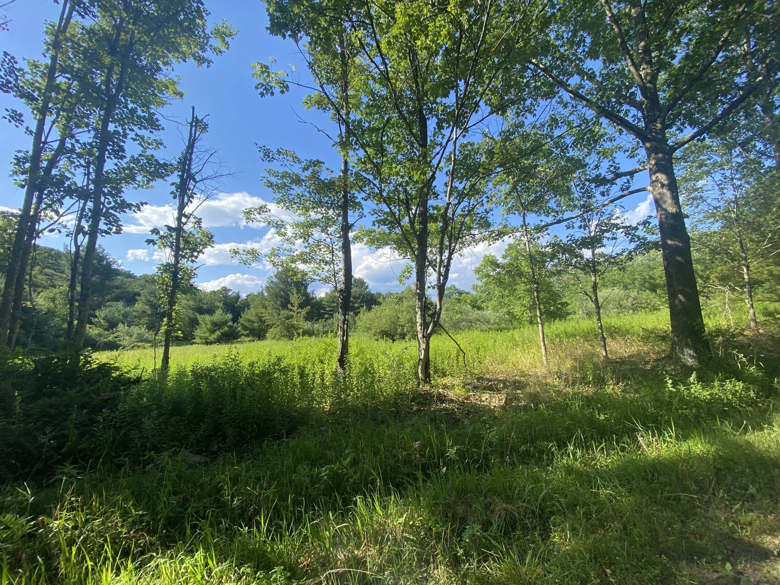 Good Nature Farm Co.