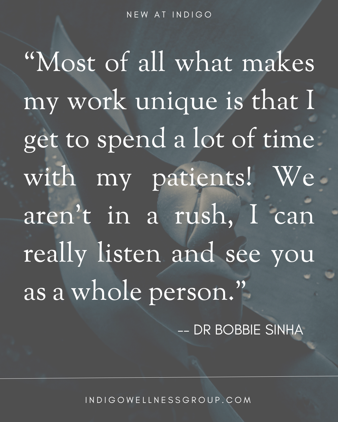 Meet our Functional Medicine Doctor | Indigo Wellness | Westport ...