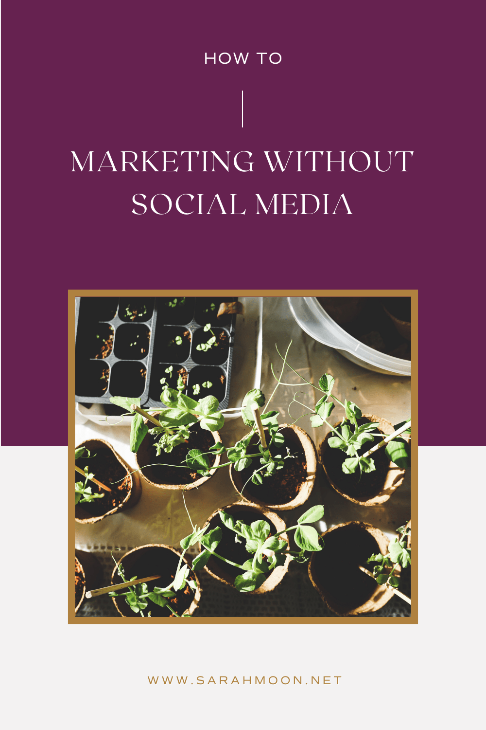 Marketing Without Social Media - 15 Strategies That Work in 2024 ...