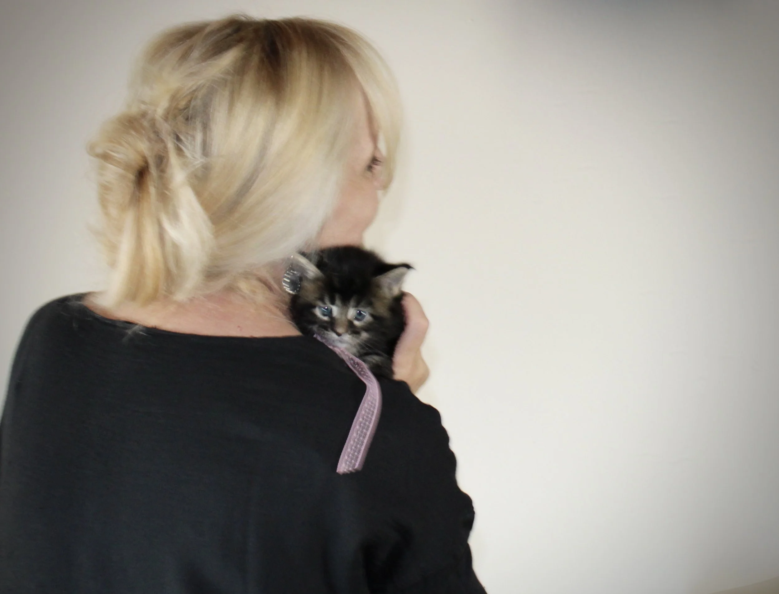 Gallery 1 — emerald crow