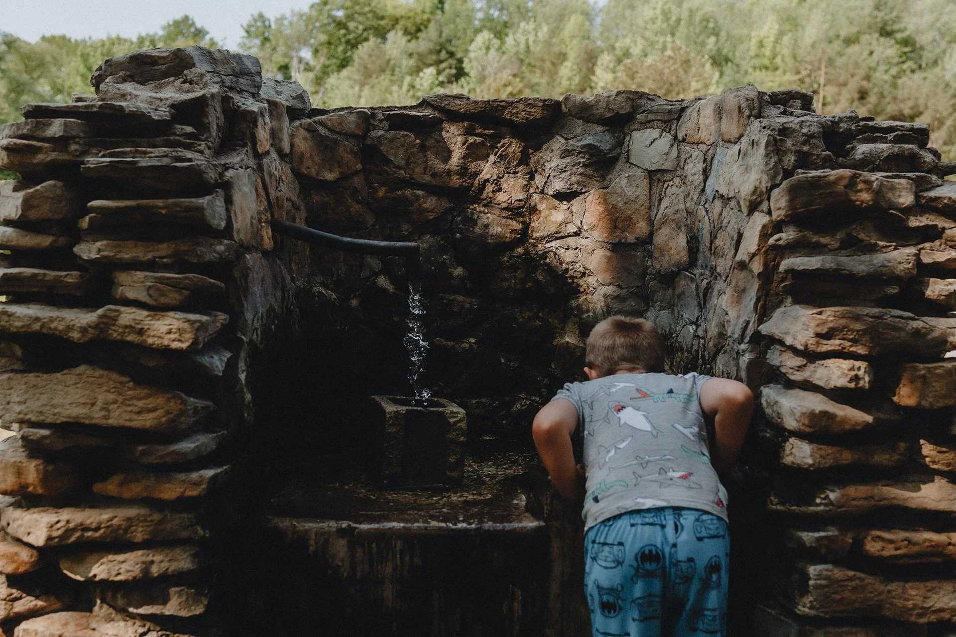 Norway Spring — Downtown Norway