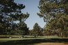 Oak Crest Golf Course — Downtown Norway