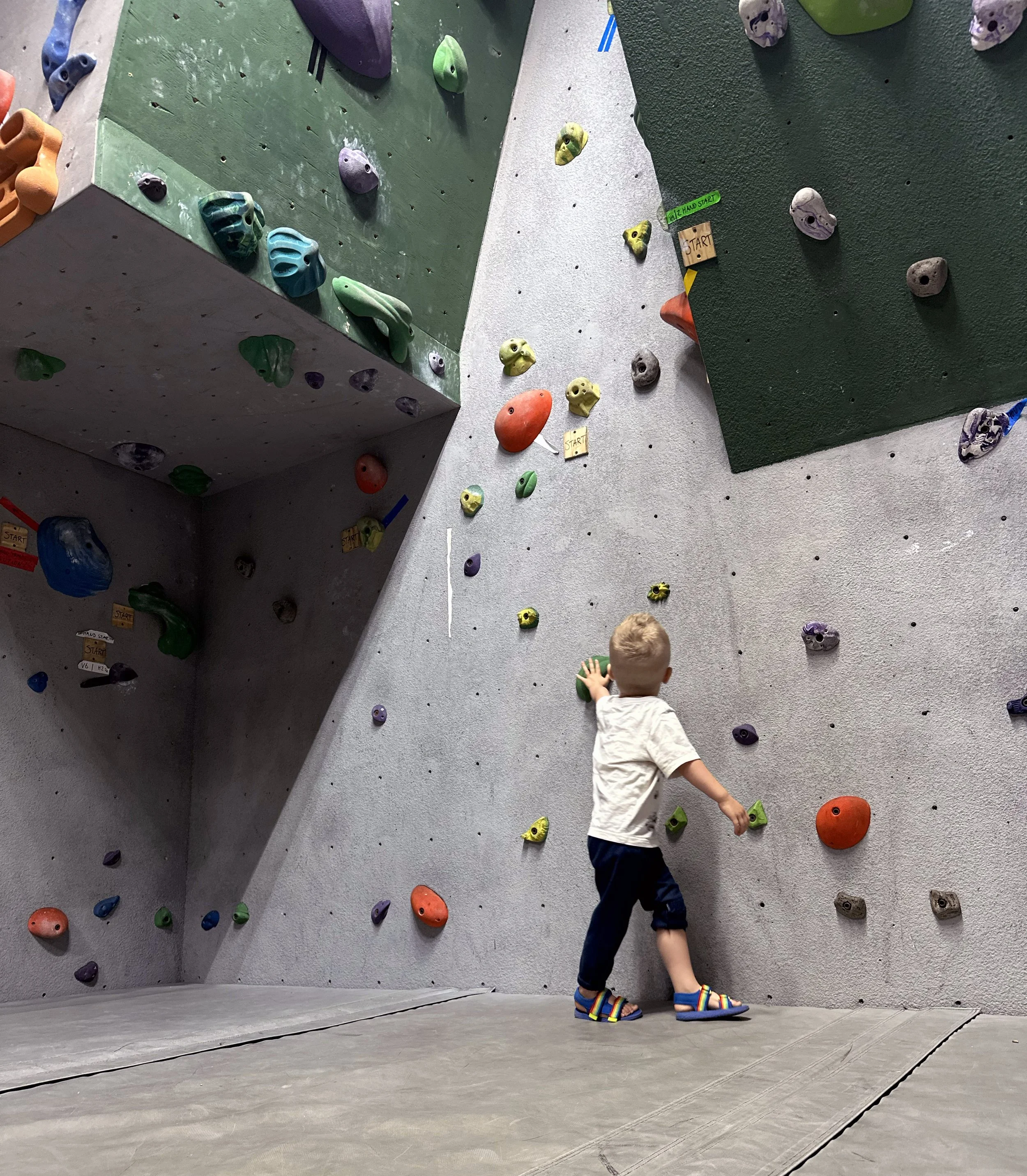 True North Outpost — Downtown Norway