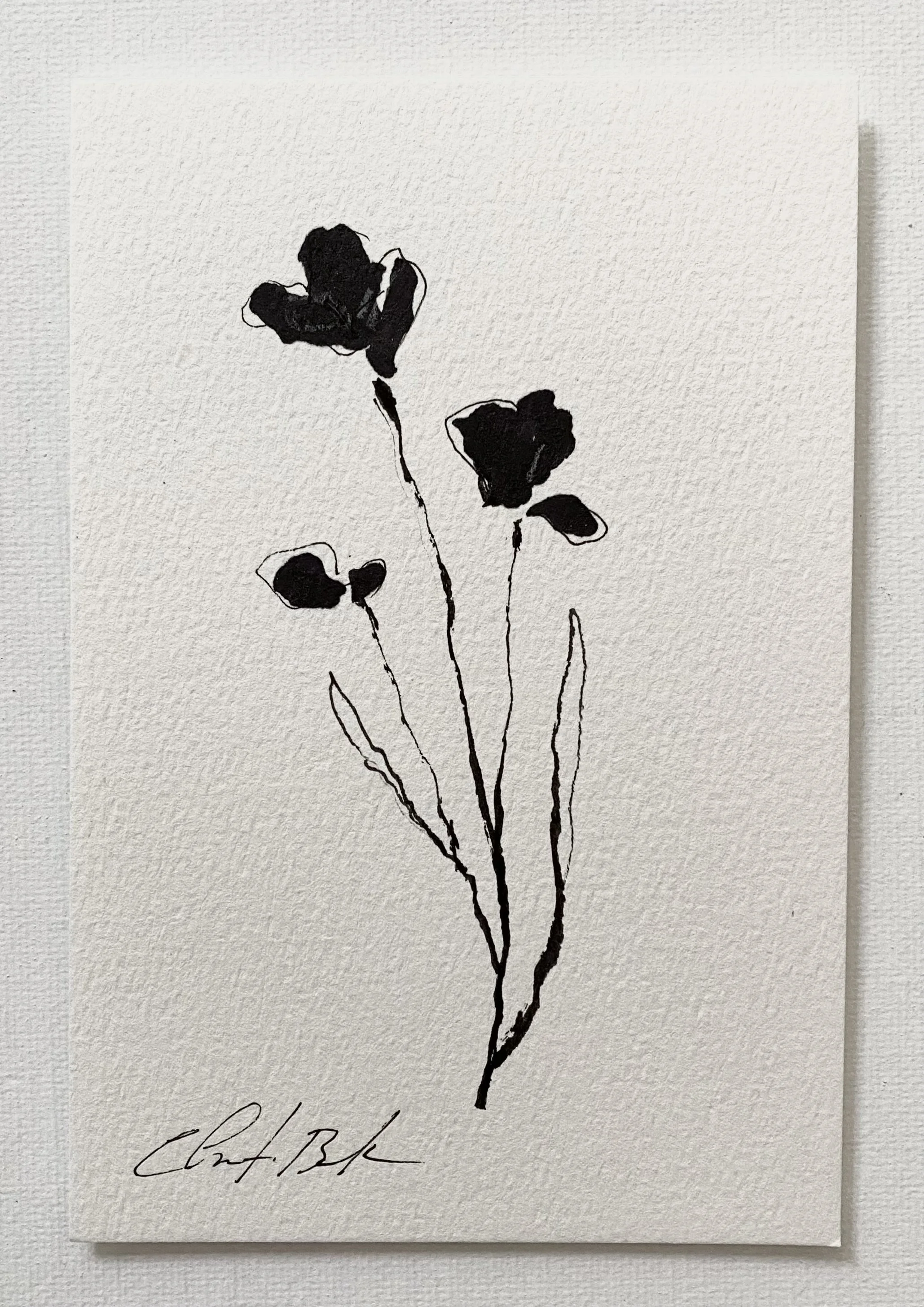 My Shop — Christina Baker Art