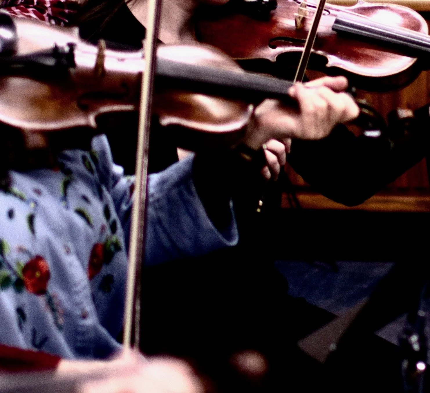 Aotearoa NZ Folk Alliance